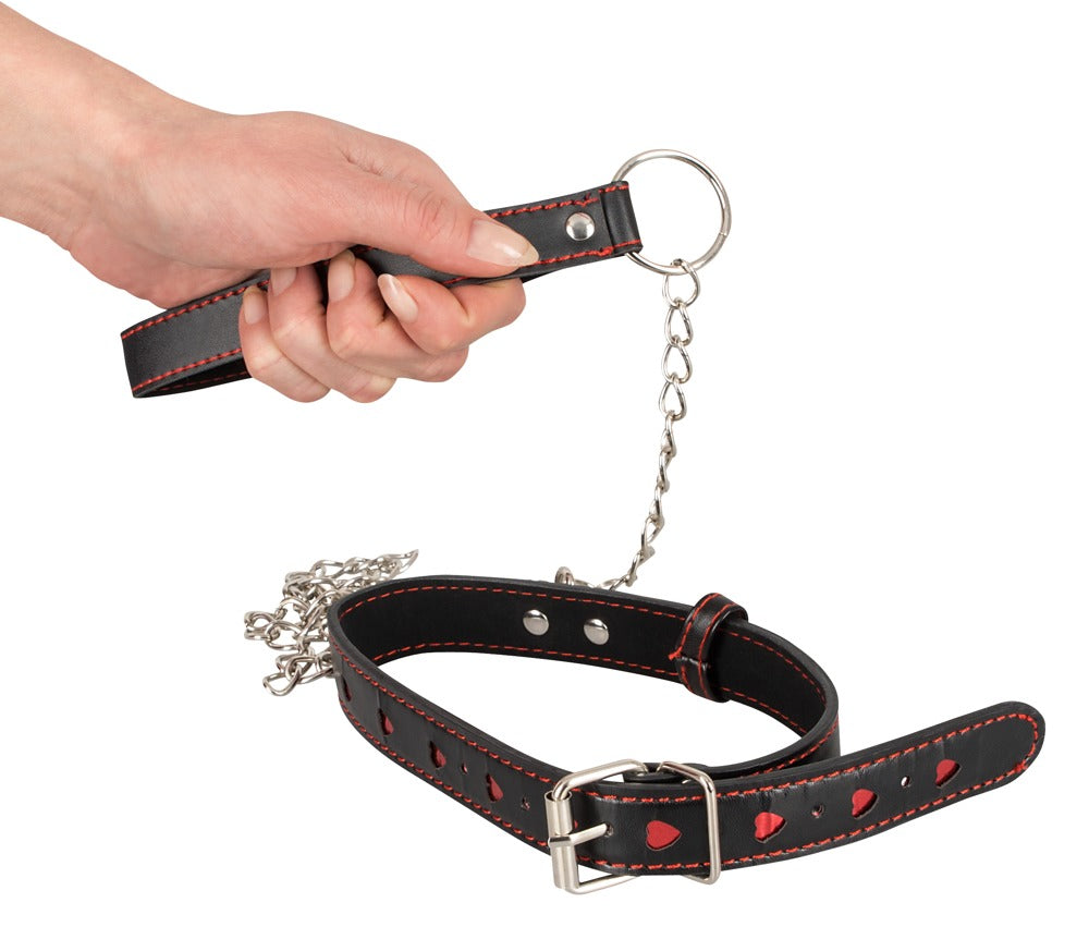 Bad Kitty Collar and Leash | Fetshop